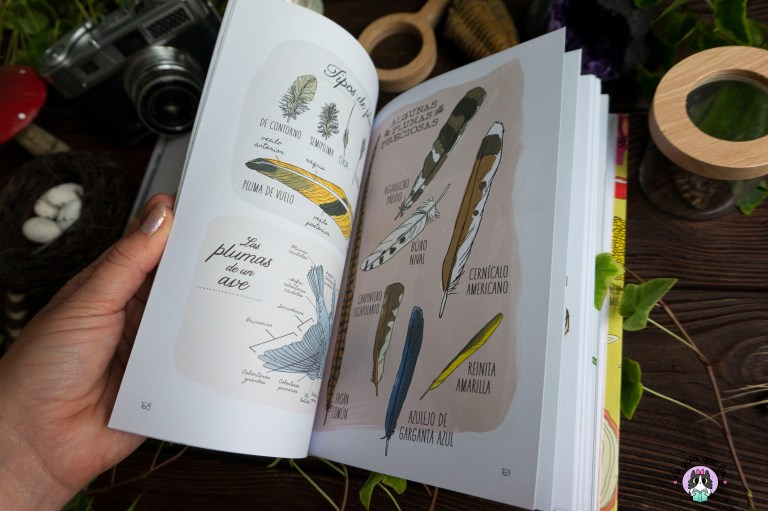 Cuaderno de naturaleza. Secretos y curiosidades del mundo natural – La ...